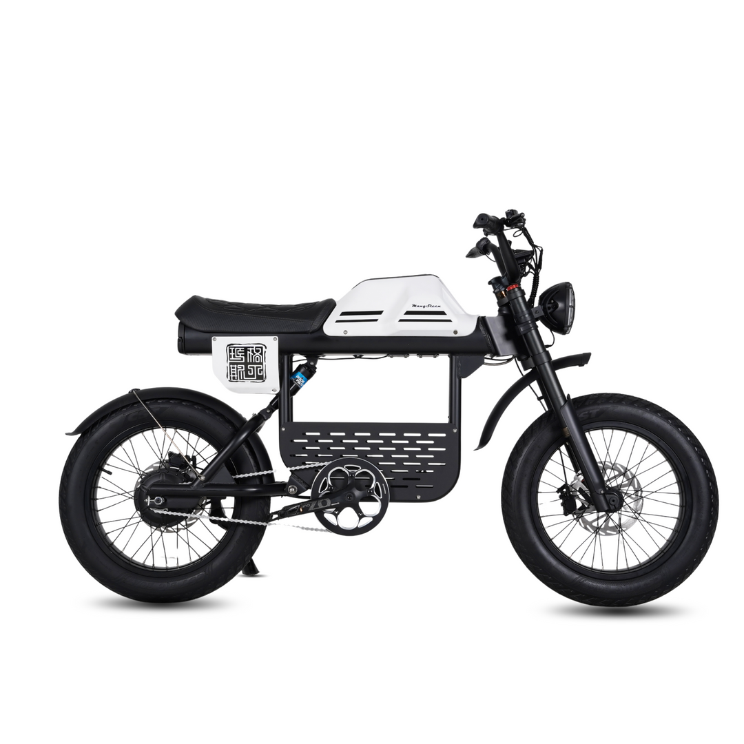 Bicicletta elettrica FatBike Mangosteen FT-01 – Scoot Motion