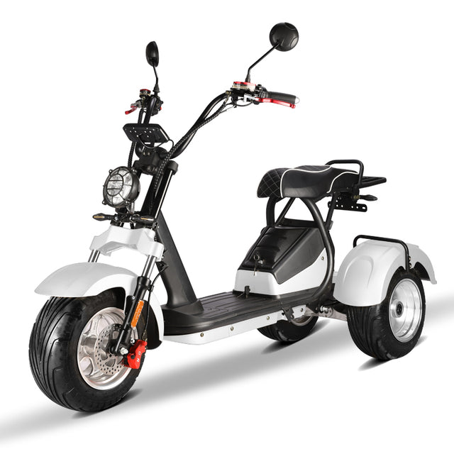 City Coco 4000W HM-7.0 3-wheel electric tricycle – adjustable range (2 ...